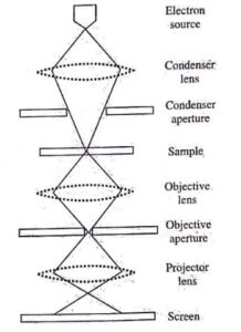 Transmission Electron Microscope (TEM) - Pedagogy Zone - Pedagogy Zone