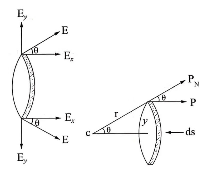 Internal Field or Local Field - Pedagogy Zone - Pedagogy Zone